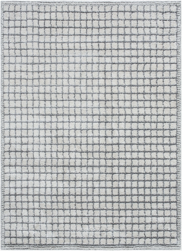 Andorra Plus Machine Woven Rug by Surya Collection | Decorilla