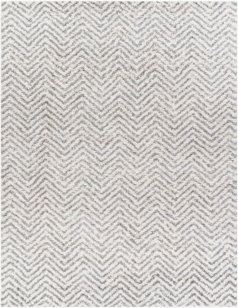 Deluxe Shag Machine Woven Rug by Surya Collection | Decorilla