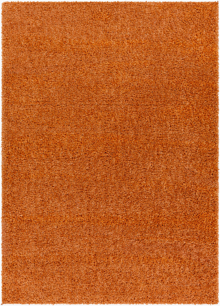 Deluxe Shag Machine Woven Rug by Surya Collection | Decorilla