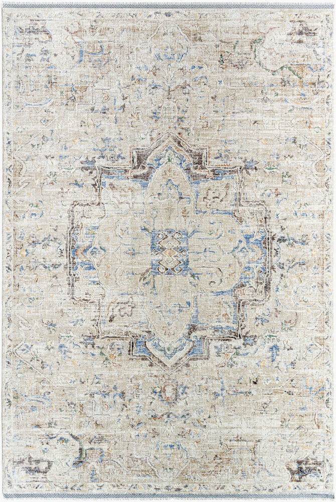 Rivaldo Machine Woven Rug by Surya Collection | Decorilla