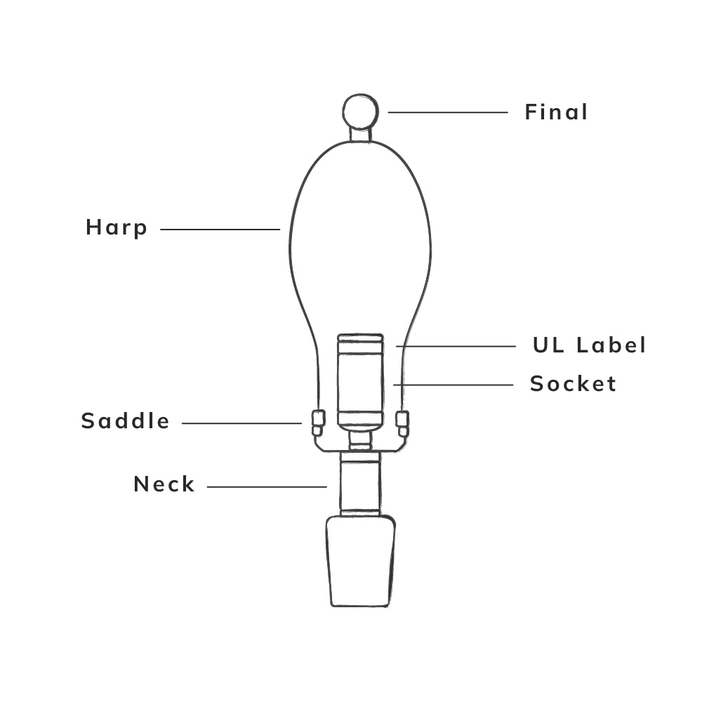 Anatomy Of A Light Bulb